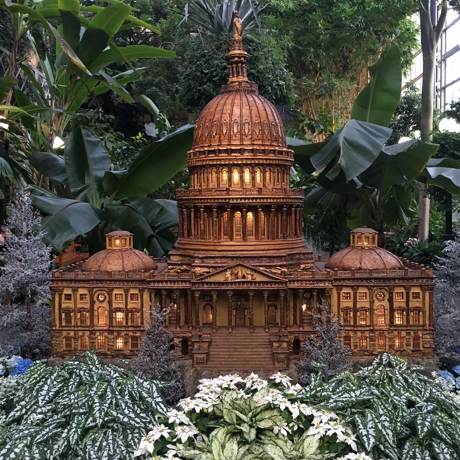 LISTEN: Take A Mini-Train Tour Of The National Parks | WAMU