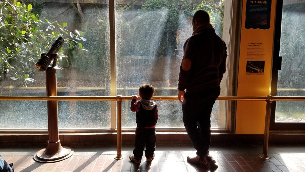 Resettling the Rasoolys: An Afghan Family Finds A New Home in America ...