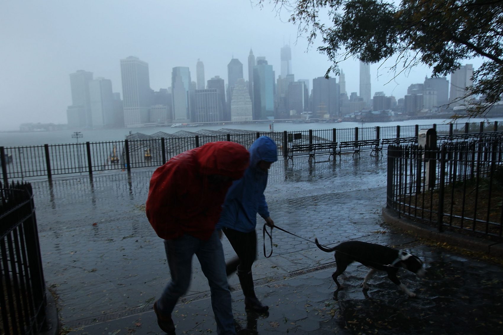 5 Years After Sandy, New York Is Still Vulnerable To Storm Surge | WAMU
