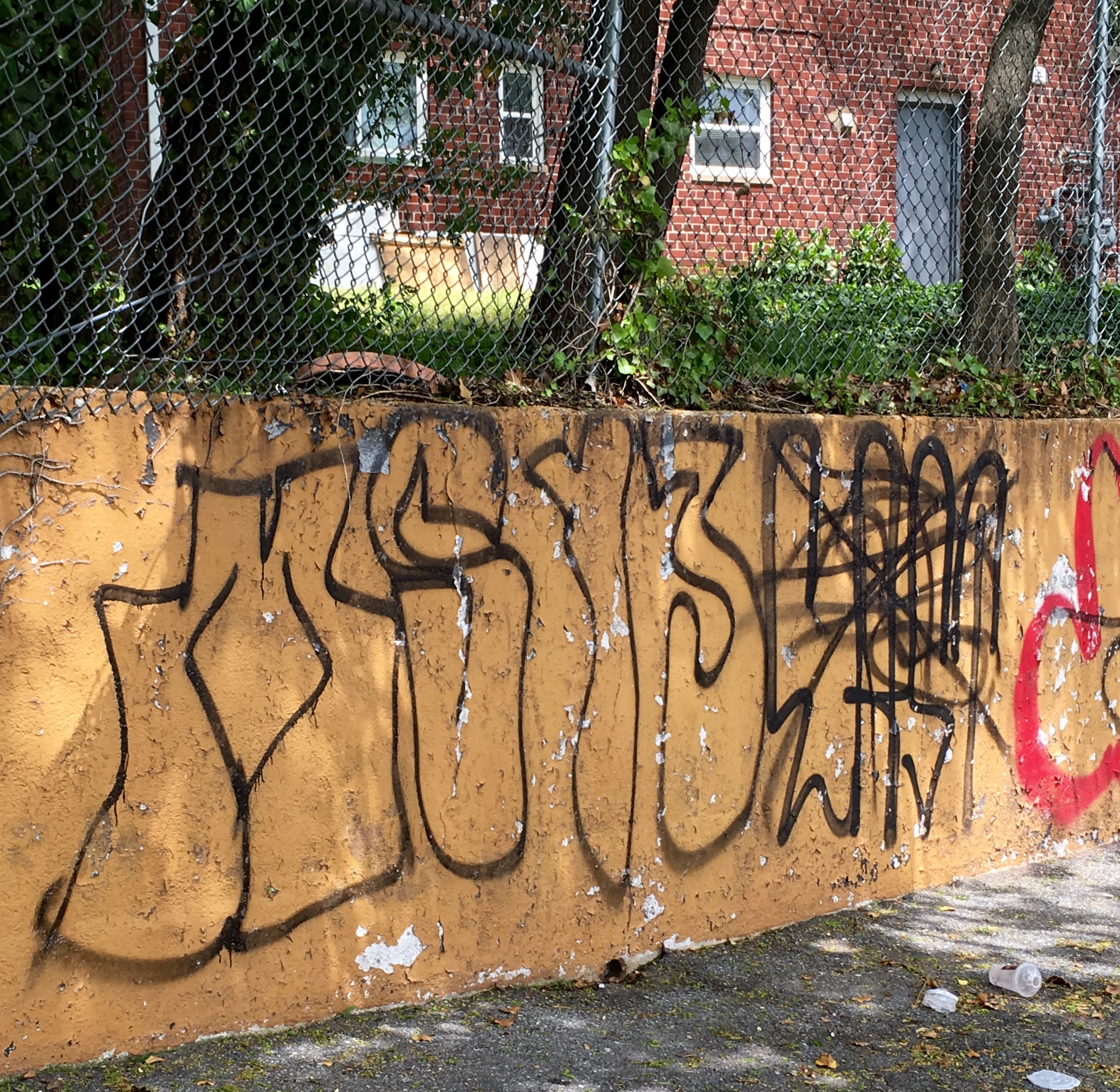 First Guilty Pleas In High Profile Gang-Related Fairfax Murder Case | WAMU