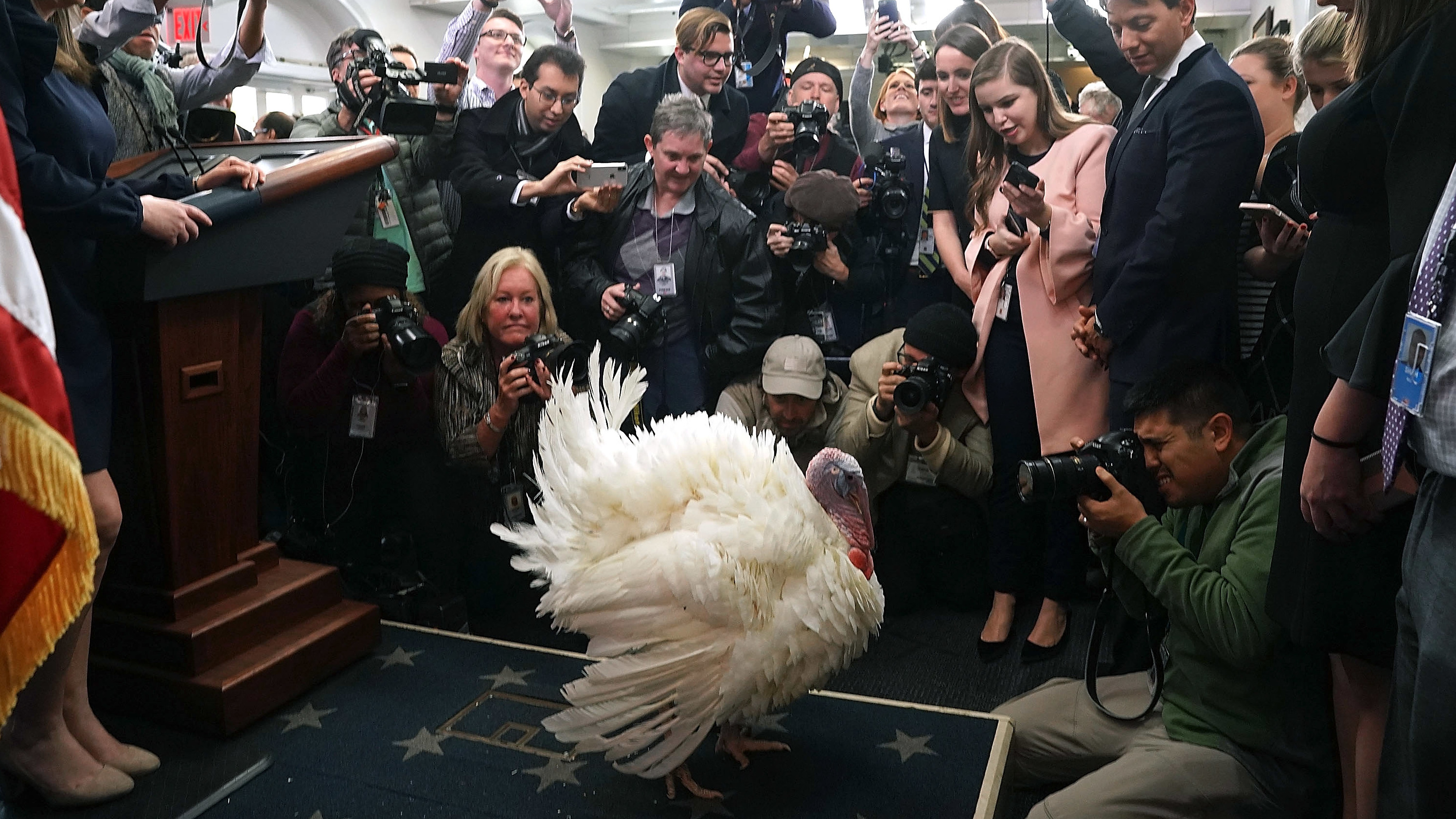 President Trump Pardons His First Turkey | WAMU