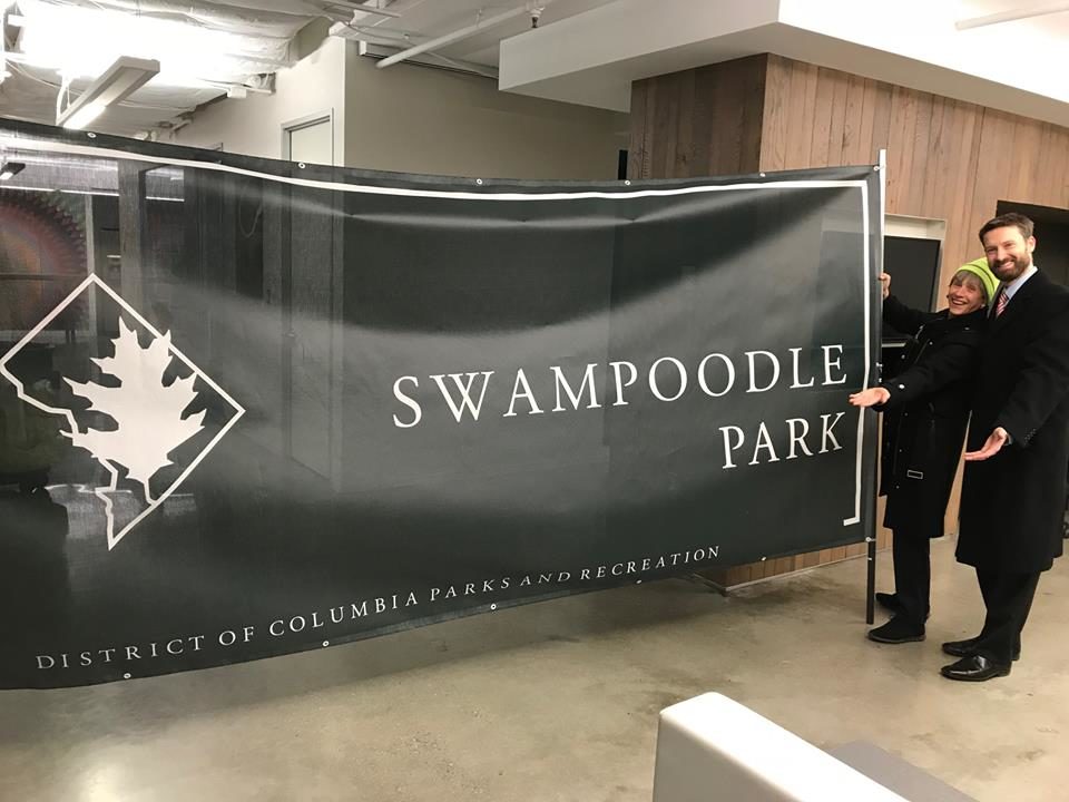 Not Just A Silly Name: 'Swampoodle' Park Pays Tribute To D.C.'s Irish ...