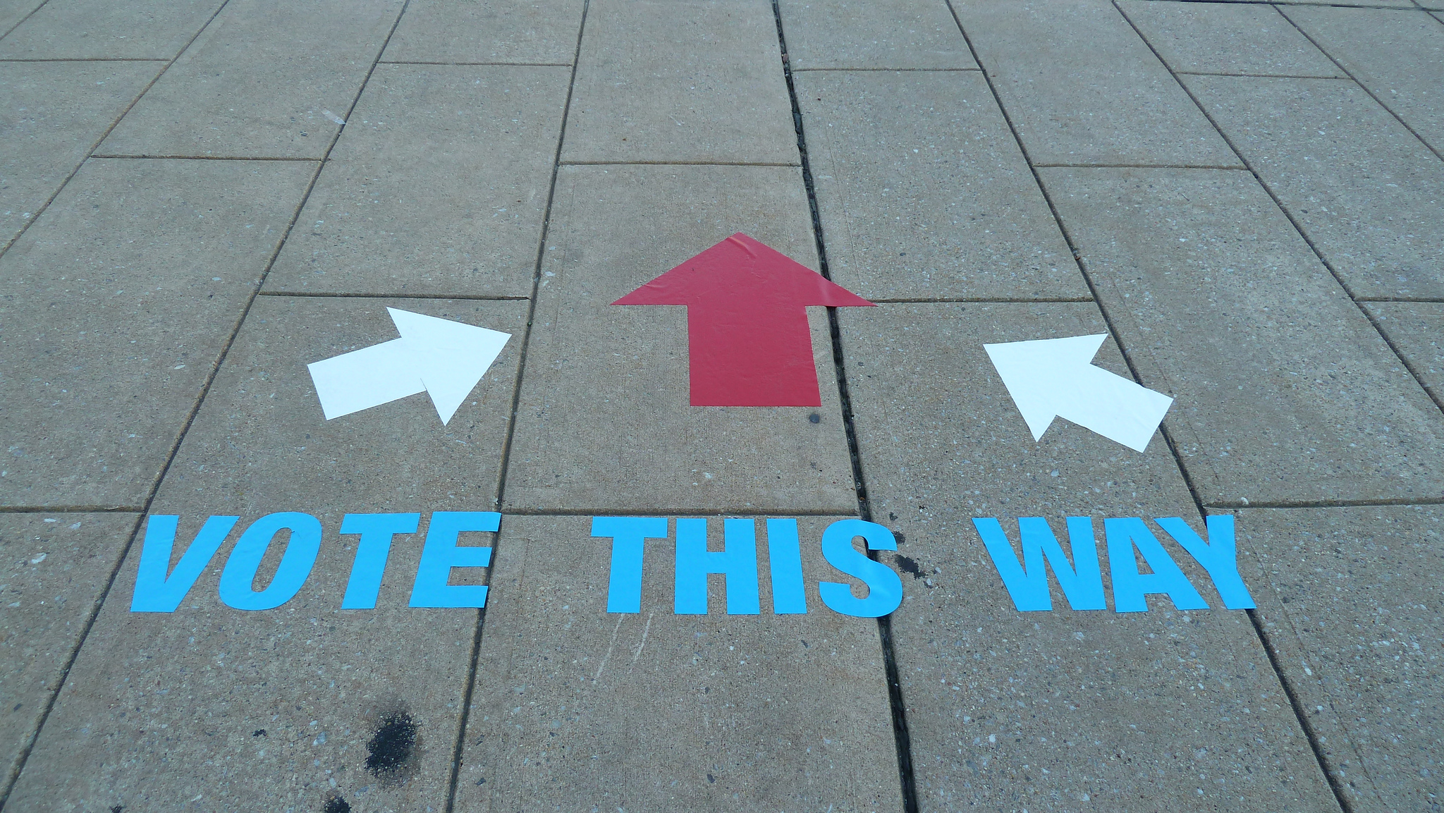 33 Candidates, 4 Seats: Navigating The Electoral Bonanza That Is ...