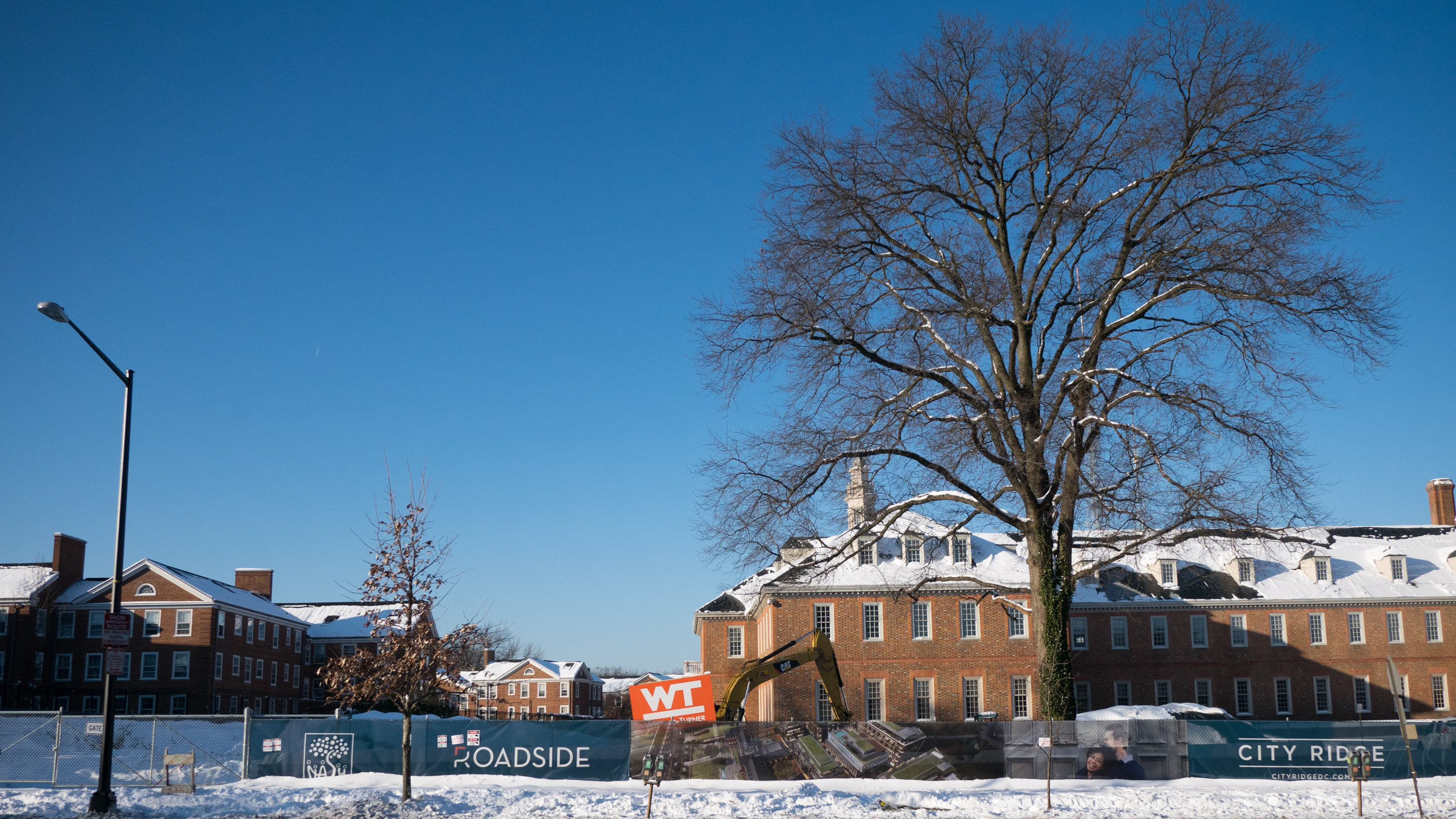 How (And Why) Do You Move A 600,000 Pound Tree? | WAMU