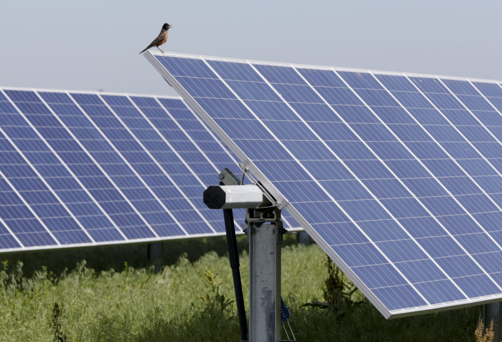 The Largest Solar Farm On The East Coast Is Coming To Virginia — If ...