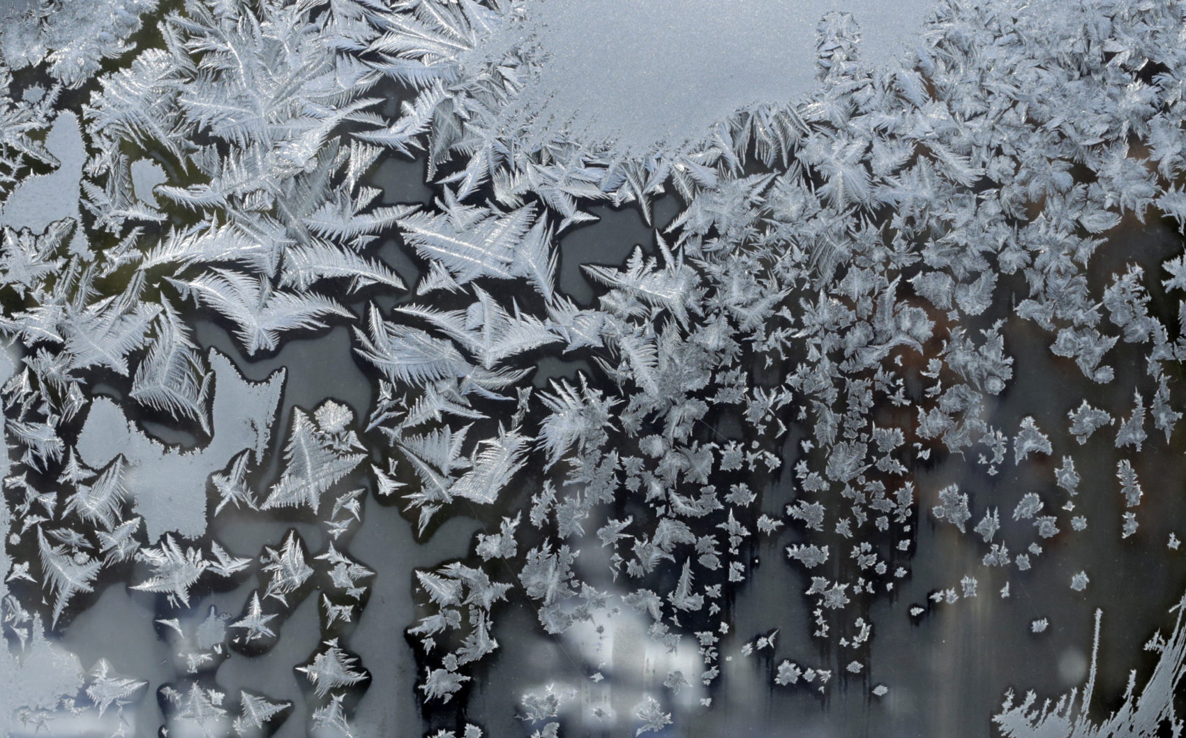 Polar Vortex Puts Ohio Vineyards At Risk | WAMU