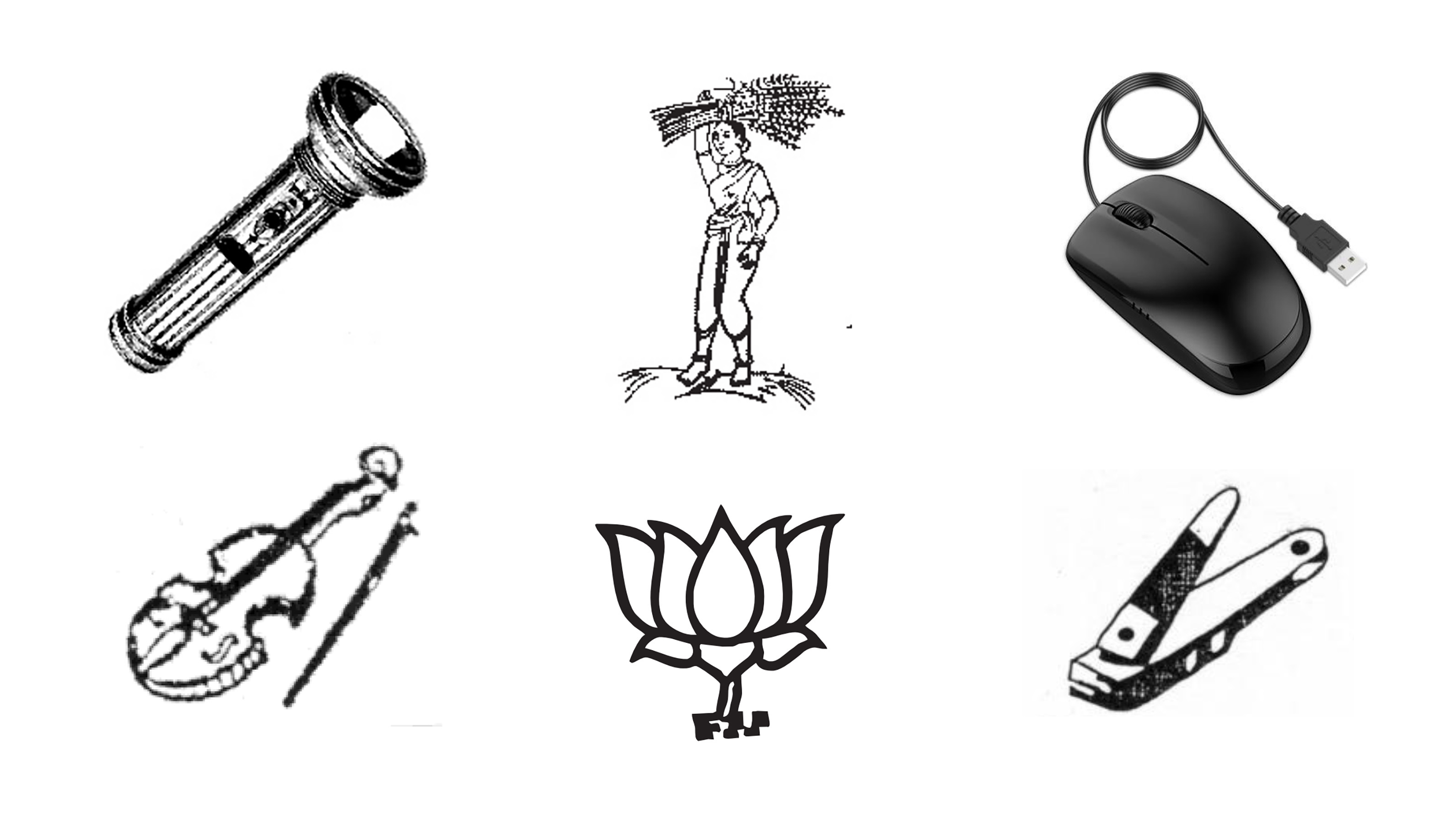 India s Ballot Has Some Really Offbeat Symbols For Its Political