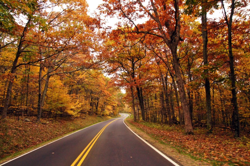 When And Where To Get Your Fall Foliage Fix Around The Washington ...