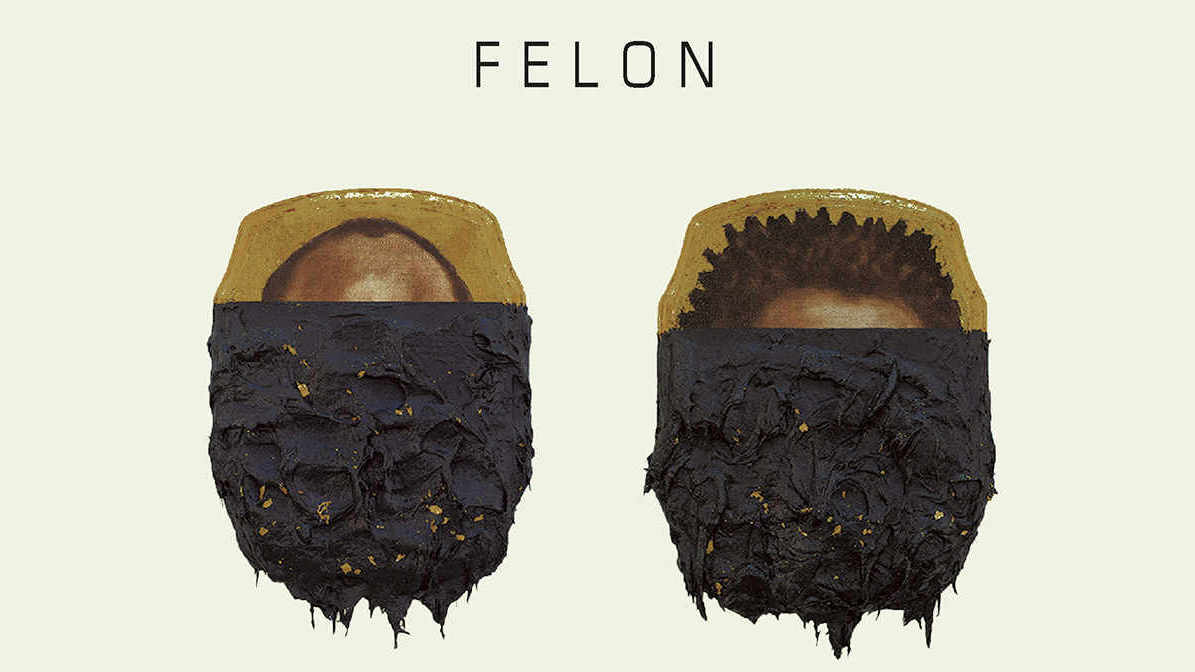 'Felon' Author Says, 'Everybody Has To Tell Their Kids Something' | WAMU