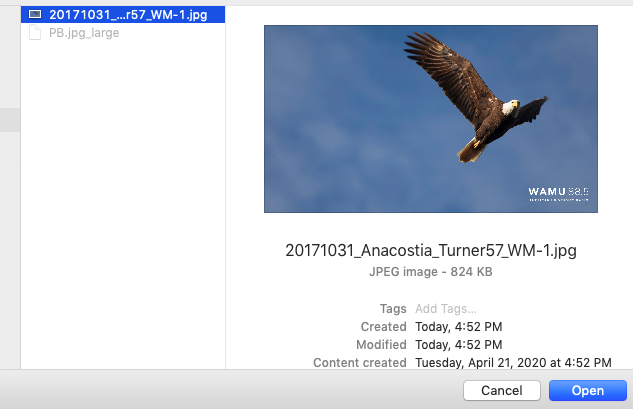 Try These WAMU Backgrounds For Your Next Zoom Meeting | WAMU