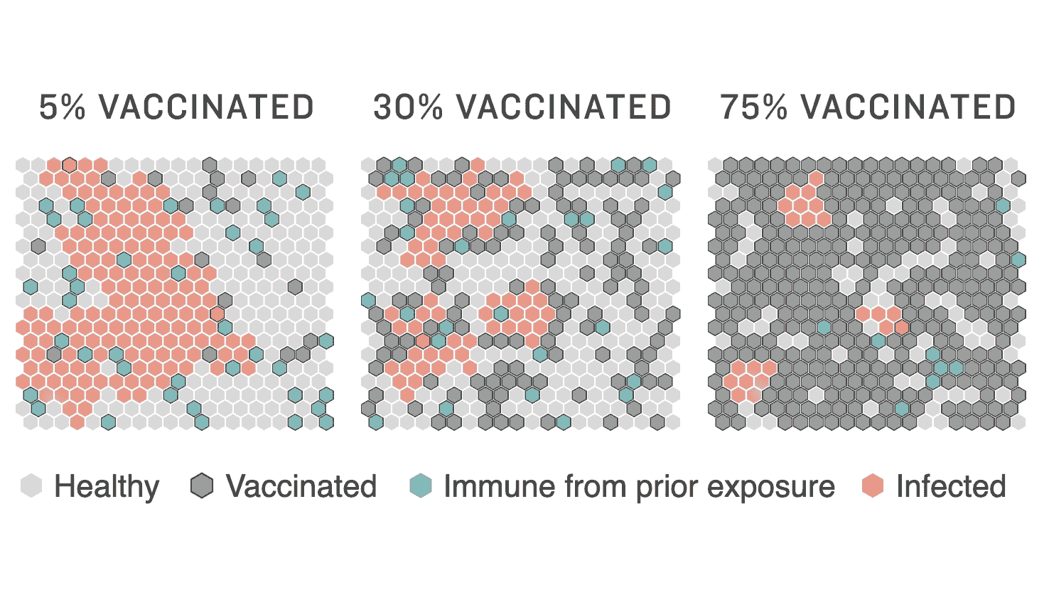 How Herd Immunity Works — And What Stands In Its Way | WAMU