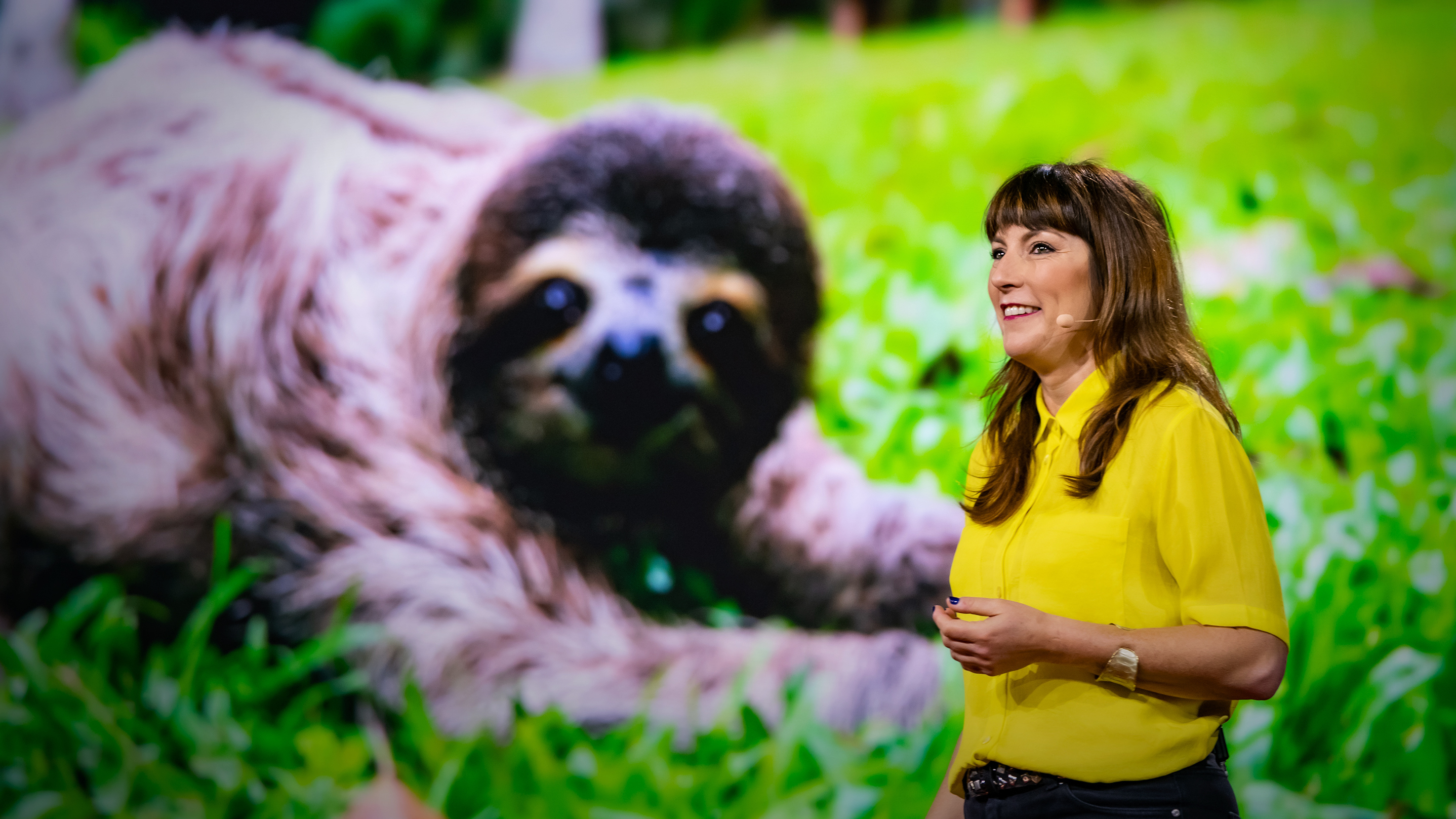 Lucy Cooke: How Did Slowness Become The Sloth's Secret To Survival? | WAMU