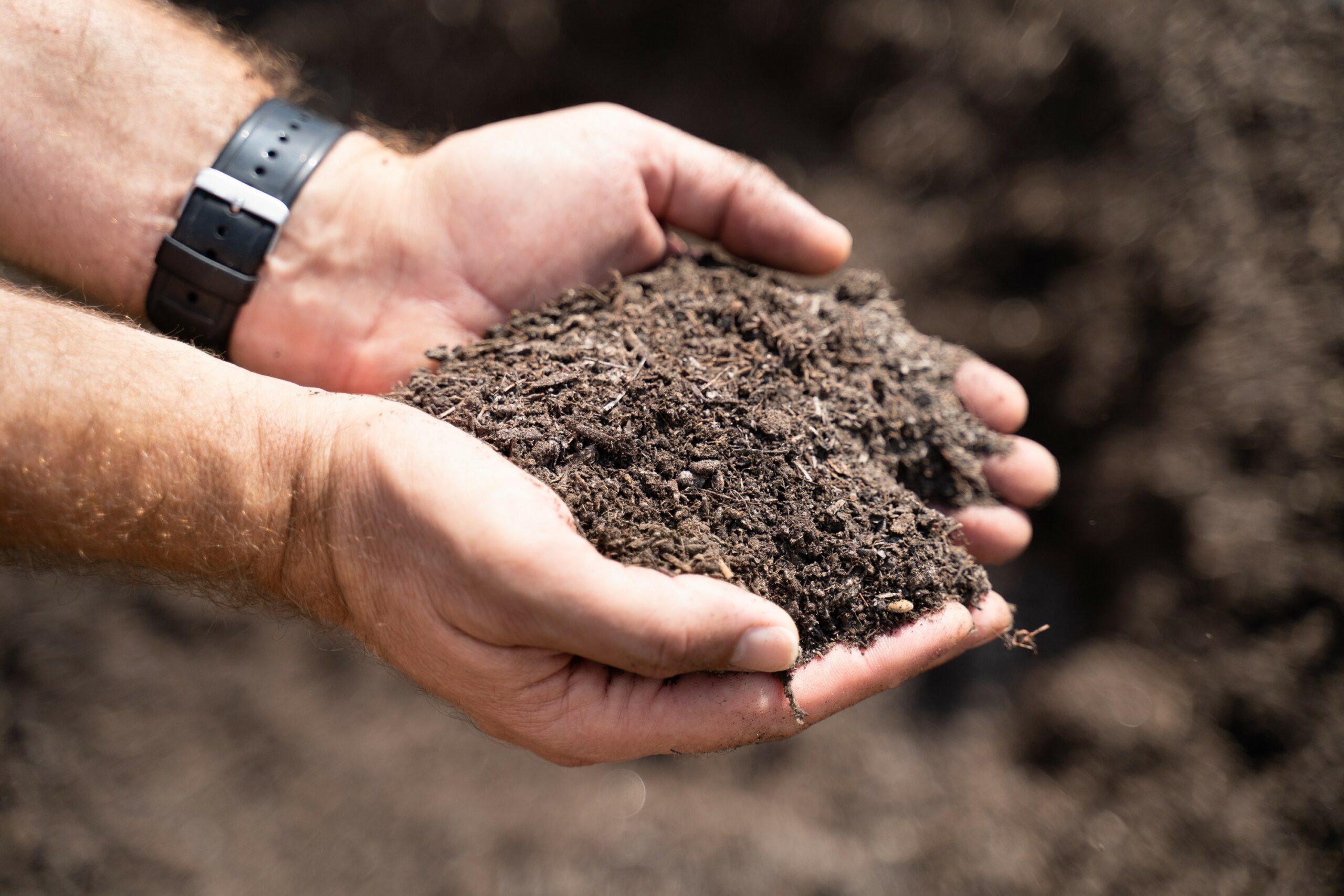 Arlington Launches Curbside Compost Pickup Program Countywide | WAMU