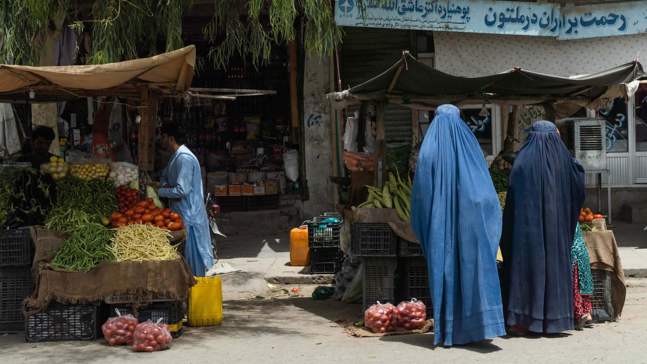 In the Taliban's Afghanistan, the near-broke central bank somehow still ...