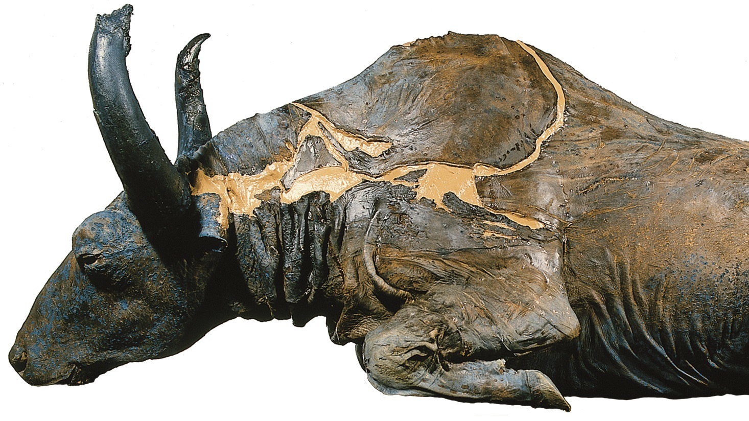 An ice-age bison was discovered! Then soon eaten — once the foul taste ...