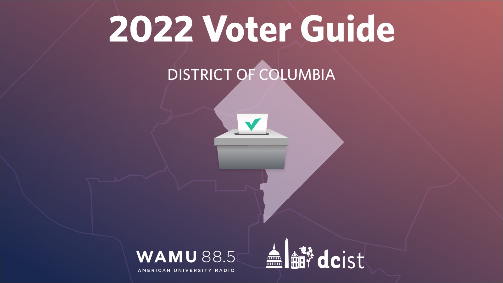 Here's Your Guide To The 2022 D.C. Elections | WAMU