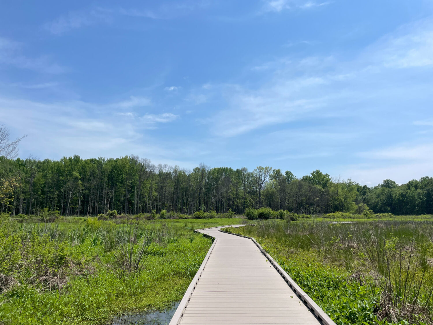 Get Out There: Birding and other ways to spend Memorial Day weekend | WAMU