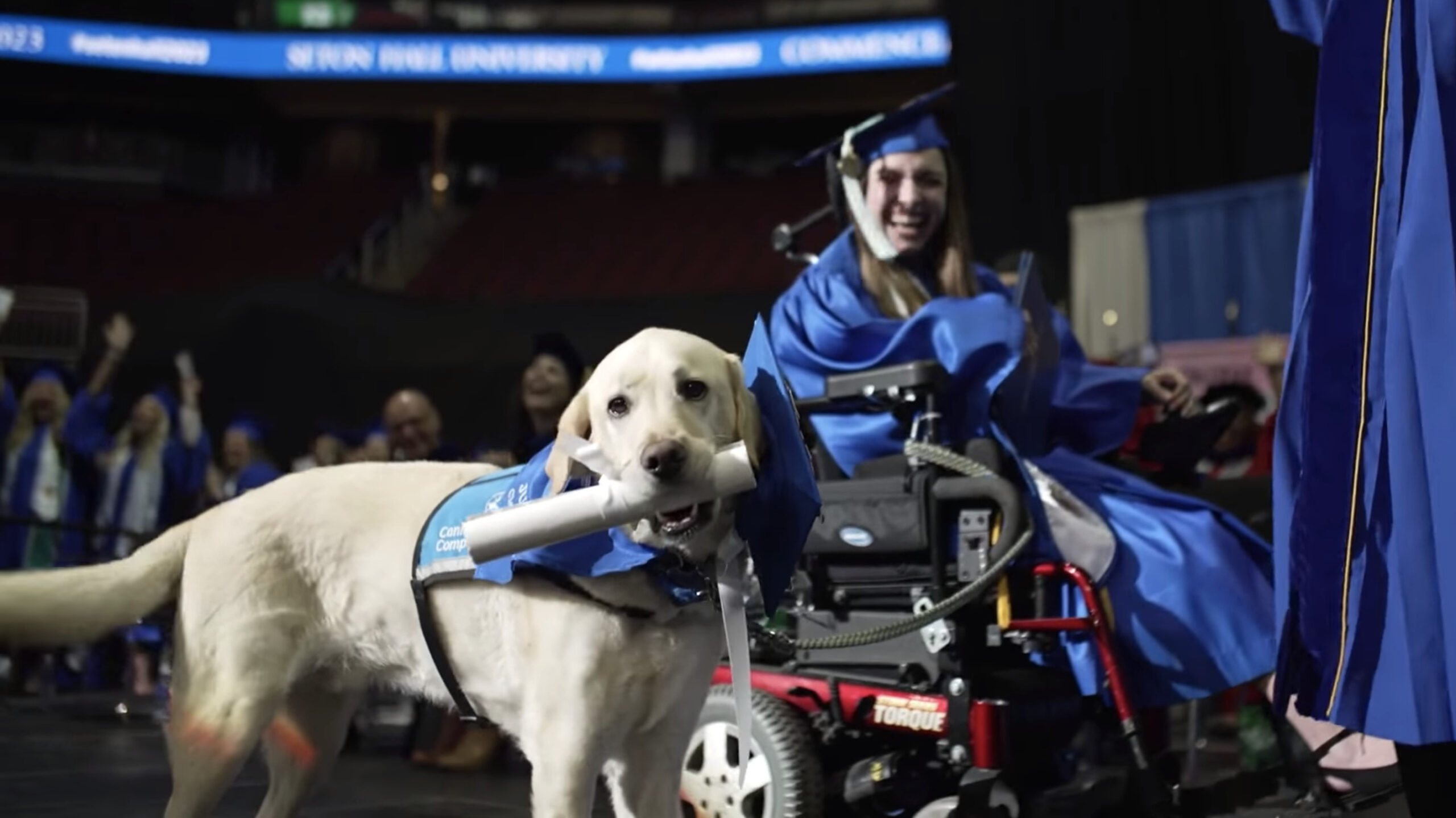 A service dog gets his own college diploma, winning huge cheers | WAMU