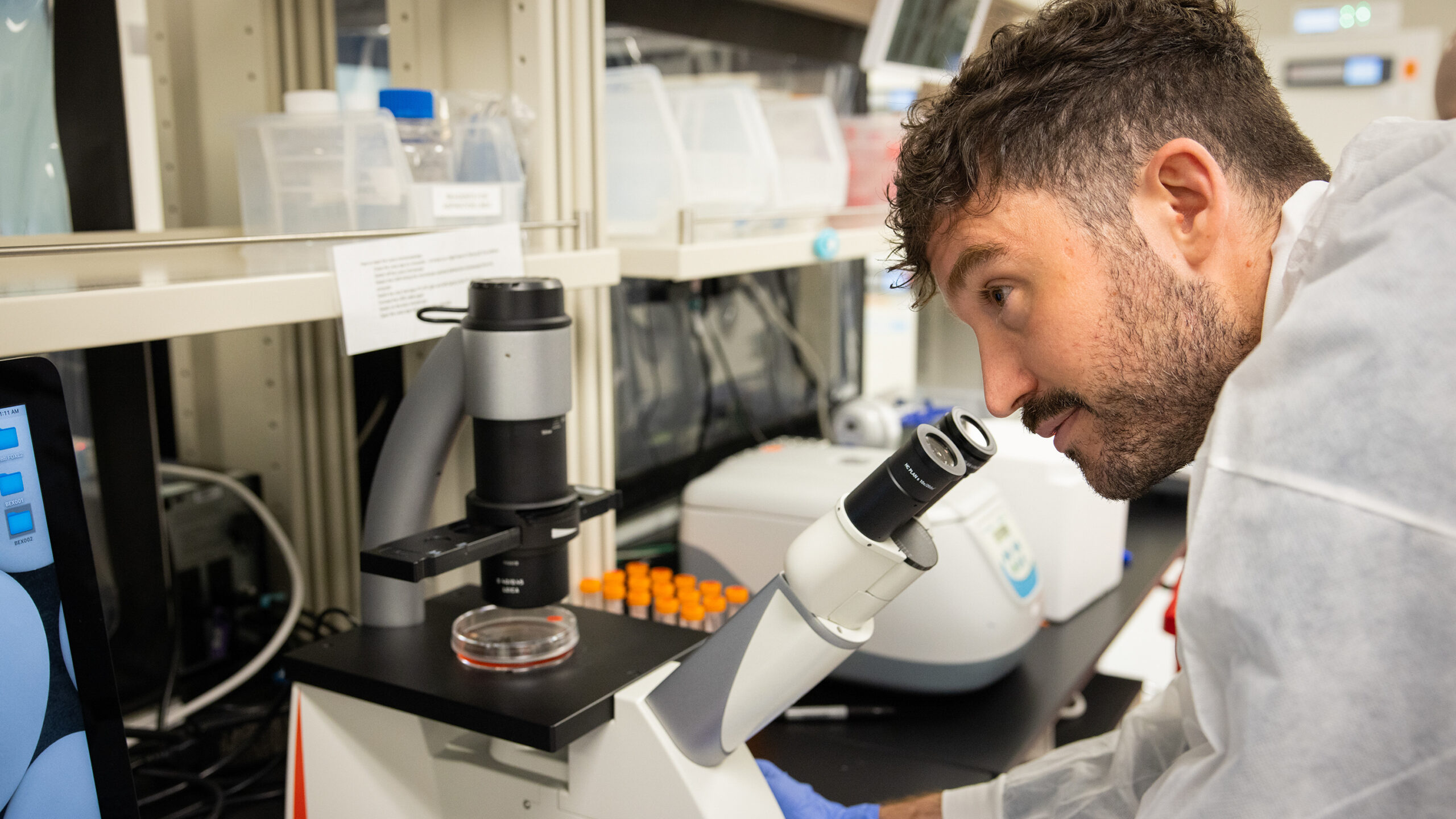 Startup aims to make lab-grown human eggs, transforming options for ...