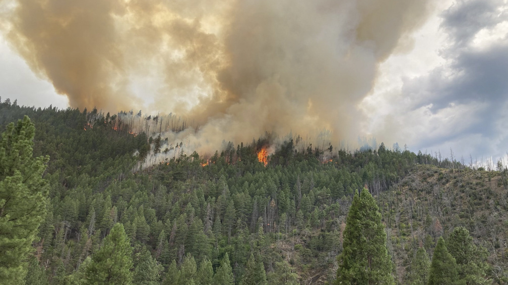 Record heat boosting wildfire risk in Pacific Northwest | WAMU