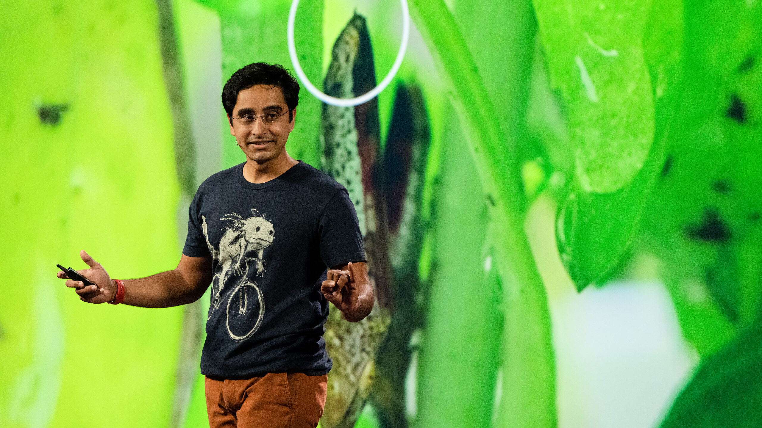 How do insects pee? A seemingly silly question that led to a physics ...