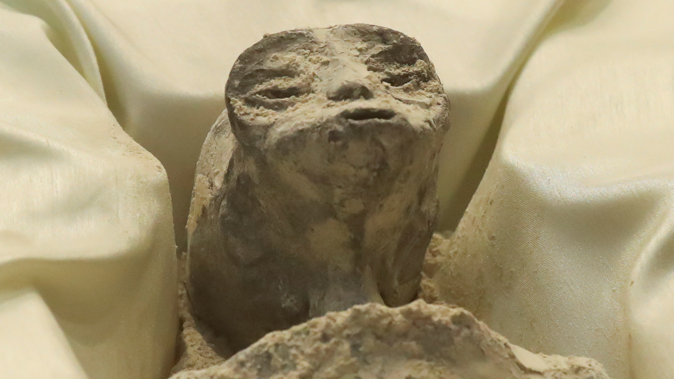 A Mexican ufologist claims to show 2 alien corpses to Mexico's Congress ...