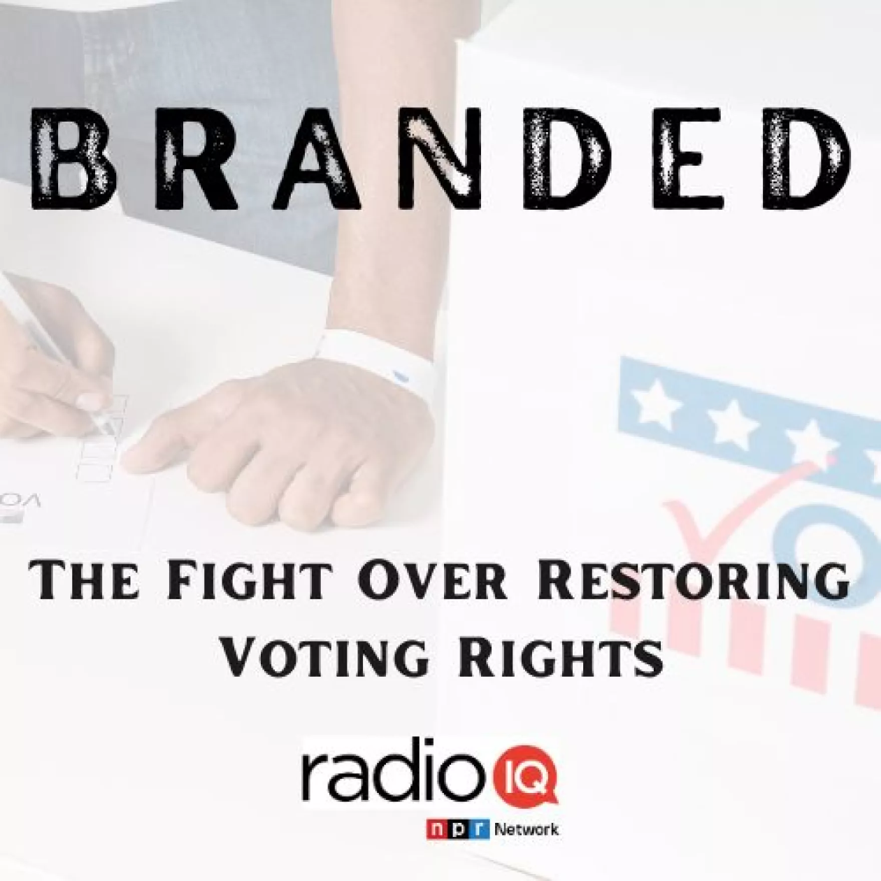 Branded: The Fight Over Restoring Voting Rights in Virginia | WAMU