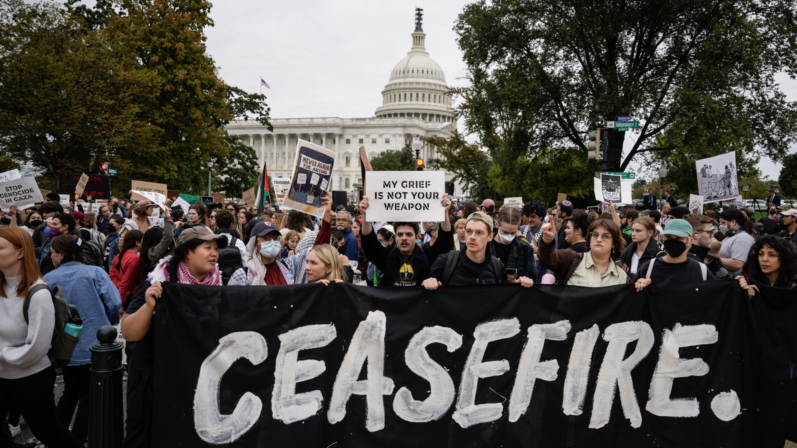 Young progressive Democrats are splitting from the party on Israel | WAMU