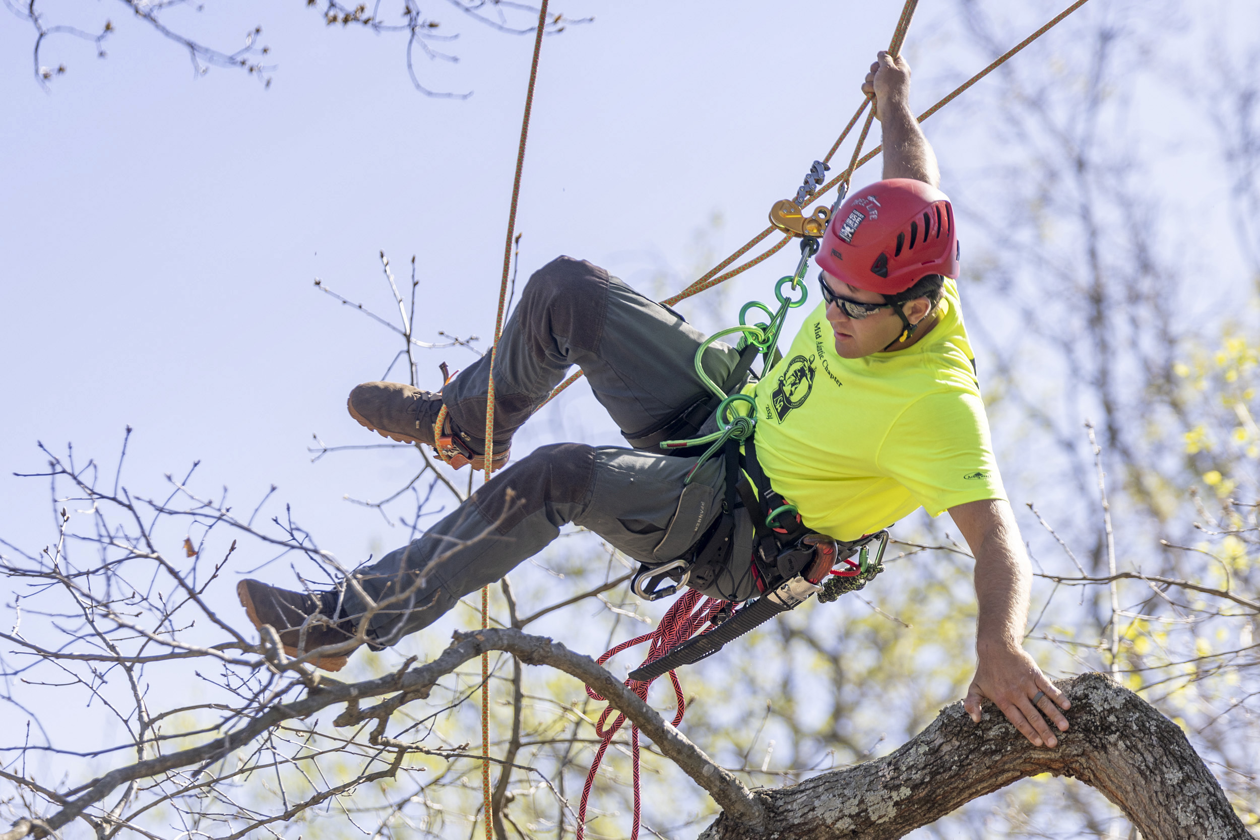 Arborists from around the region compete at tree climbing competition