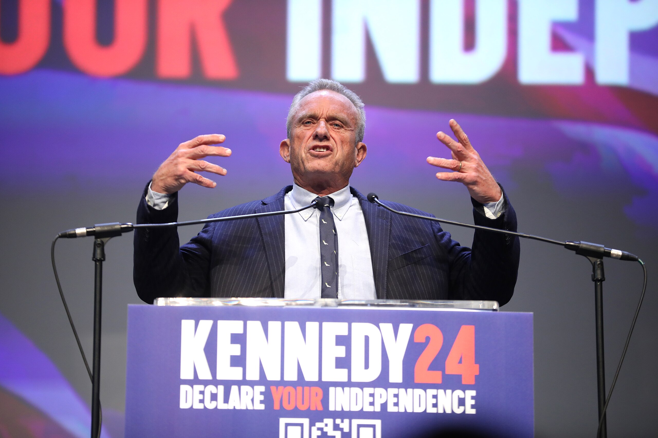 The Role Of Third-Party Candidates In The 2024 Election -- And Beyond ...