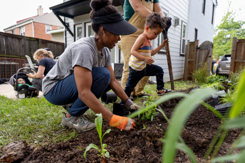 D.C. nonprofit teaches residents how to garden using native plants | WAMU