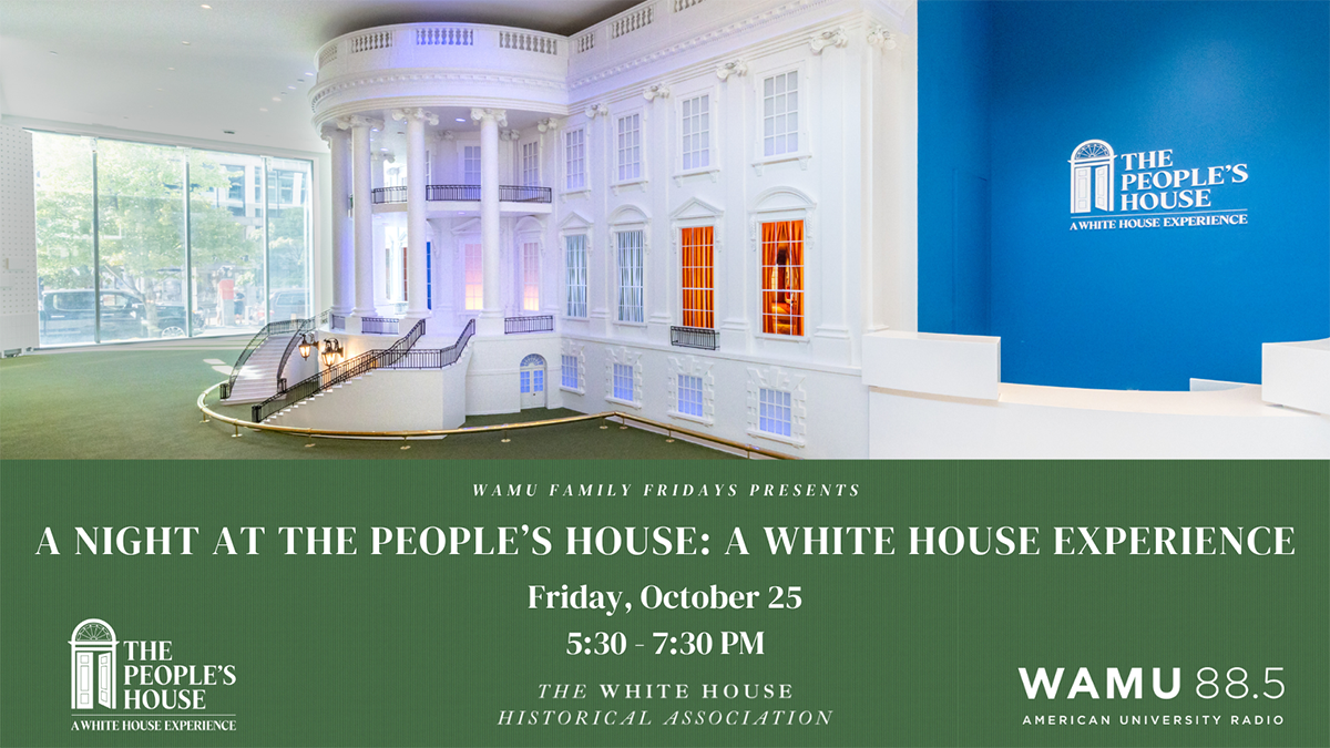 White House 2024 At Night