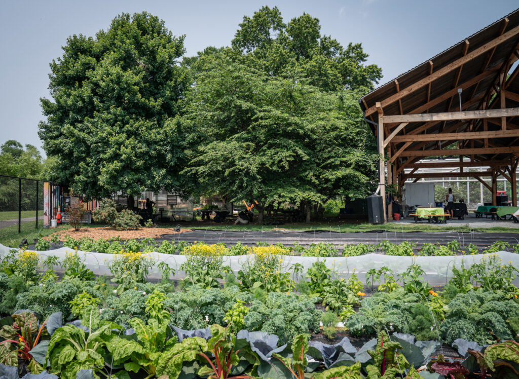 The Well at Oxon Run – a place for food, community, and quiet reflection